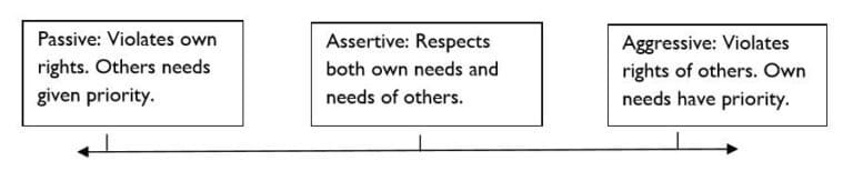 Assertiveness: The art of communicating what you need - BCPTI Blog